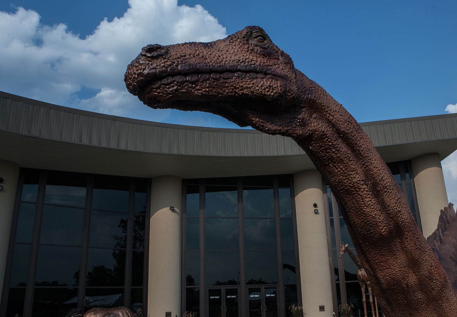 Contact Creation Museum | Creation Museum