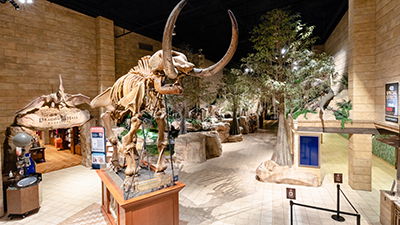 Creation Museum Blog | Creation Museum