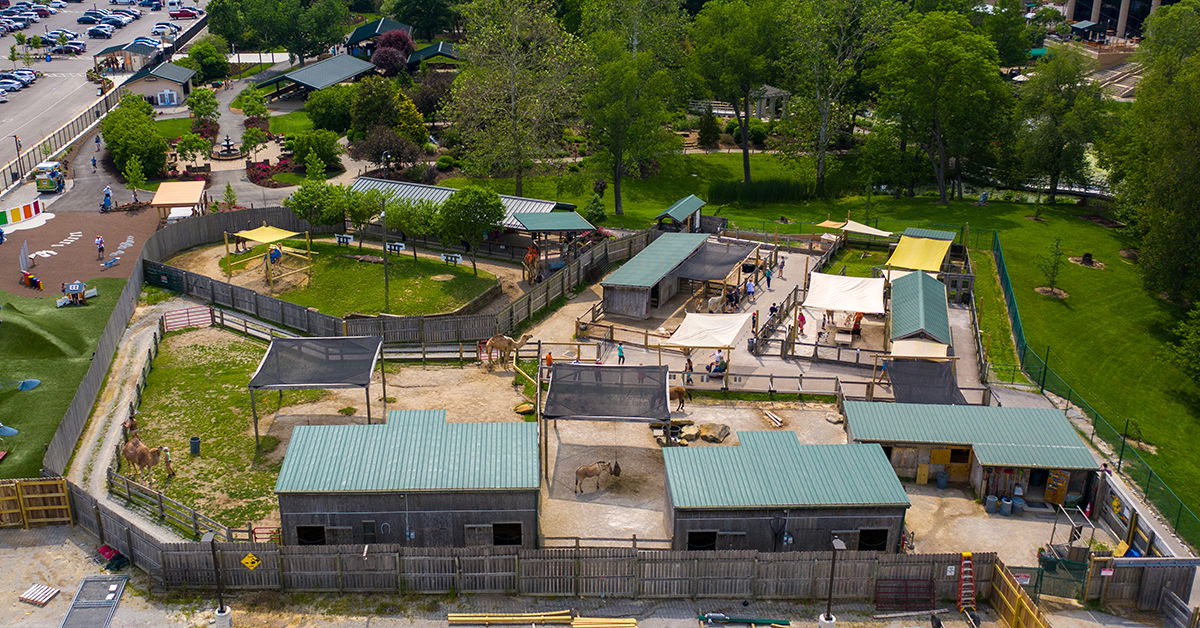 The Eden Zoo Has New Residents! | Creation Museum