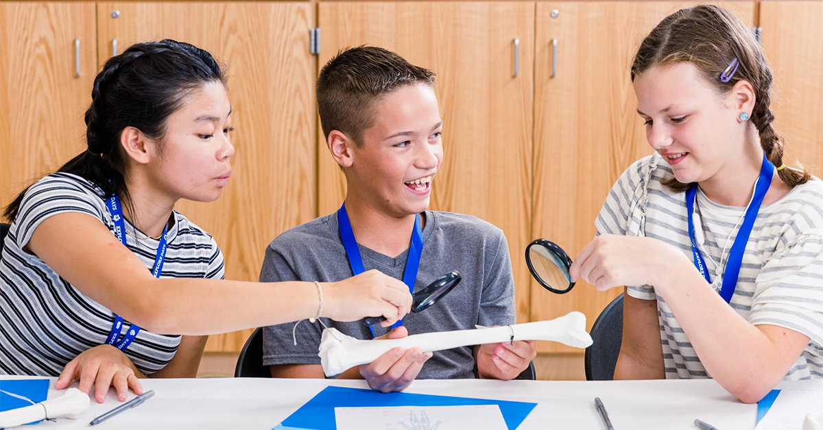 Save on Summer Educational Opportunities | Creation Museum