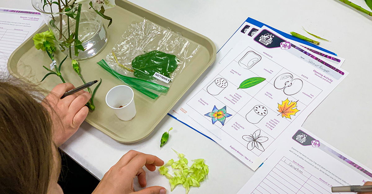 Explore Science at the Creation Museum This Spring | Creation Museum