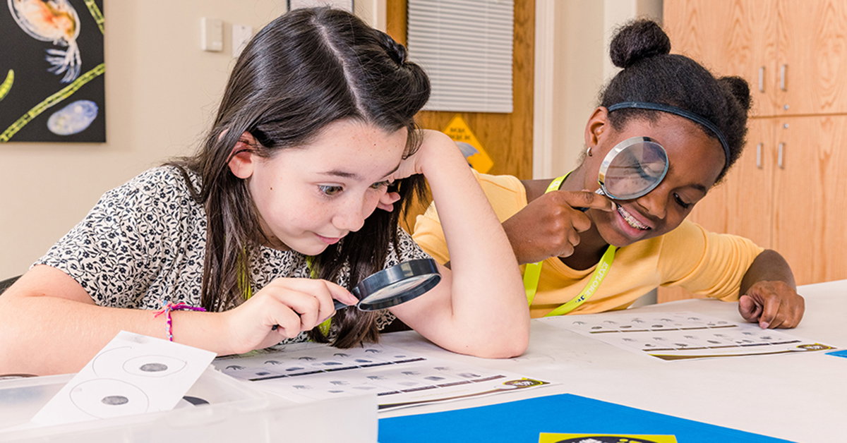 Educational Opportunities For All Ages At The Creation Museum