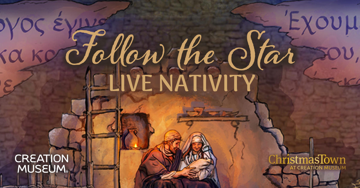 Follow the Star and Reflect on the True Meaning of Christmas | Creation ...